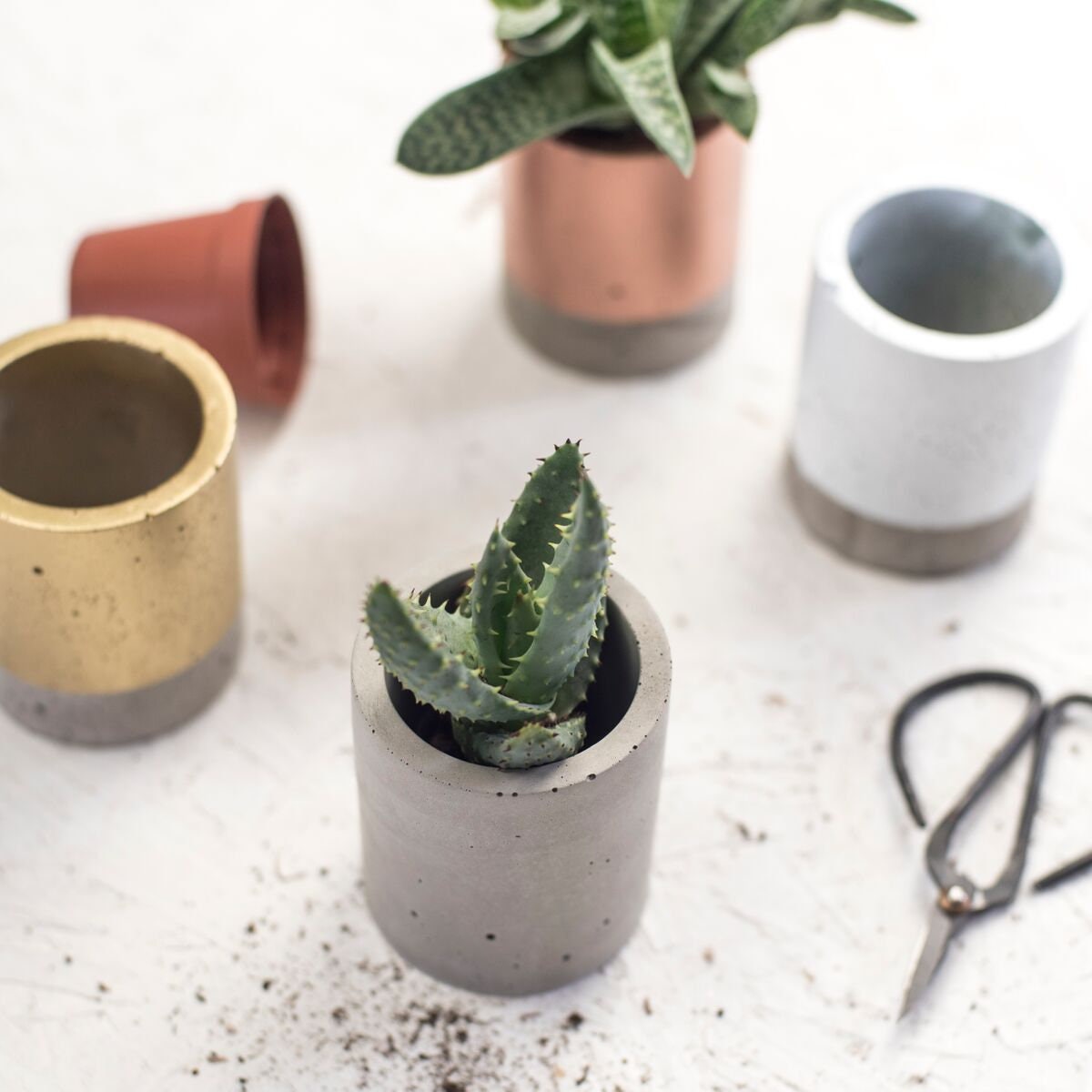 Concrete Colour block Plant pot Concrete planter Cactus | Etsy