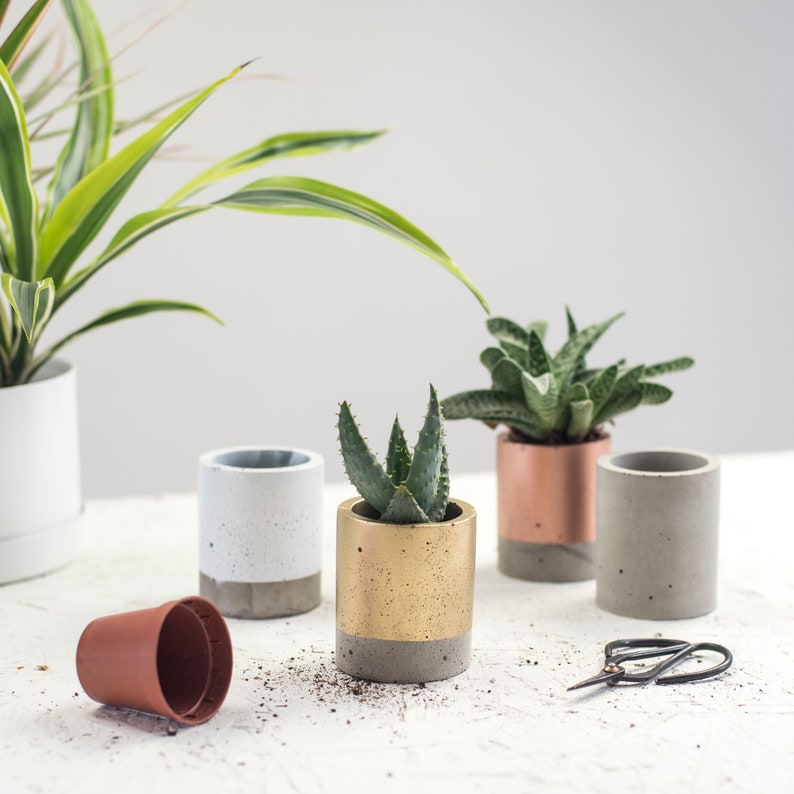 Concrete Colour block Plant pot Concrete planter Cactus | Etsy