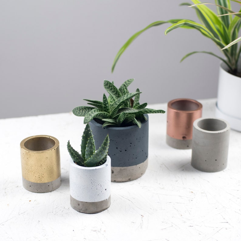 Large Concrete Colour Block Plant Pot Large Planter Cactus - Etsy