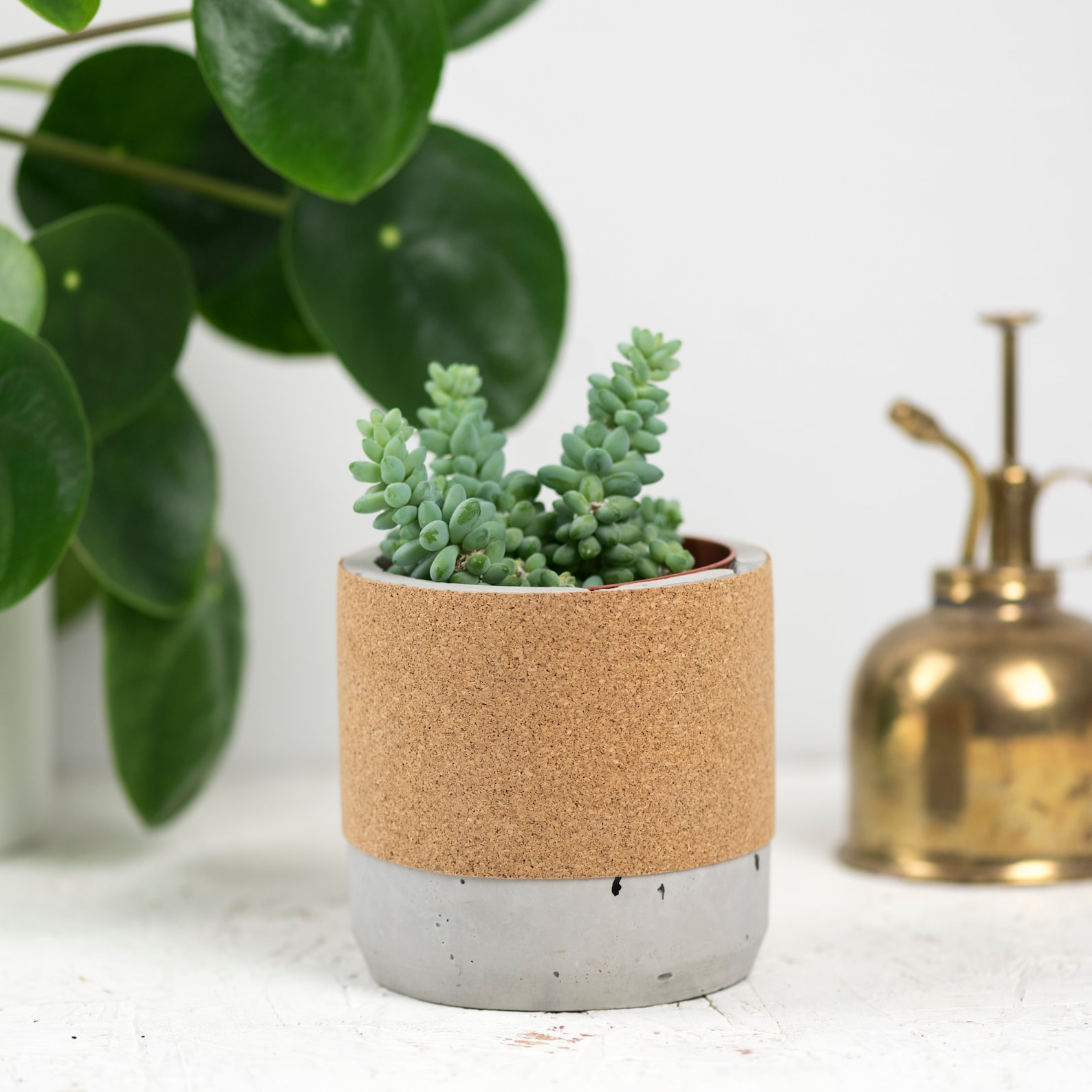 Concrete and Cork Plant Pot Cork Planter Cactus Planter | Etsy