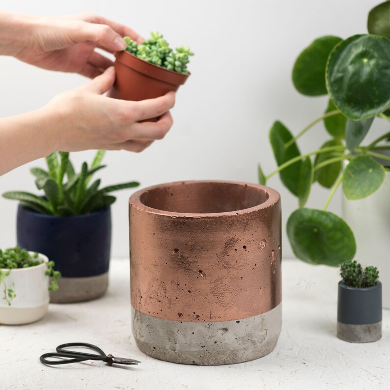 Large Concrete Colour Block Plant Pot Large Planter Cactus - Etsy