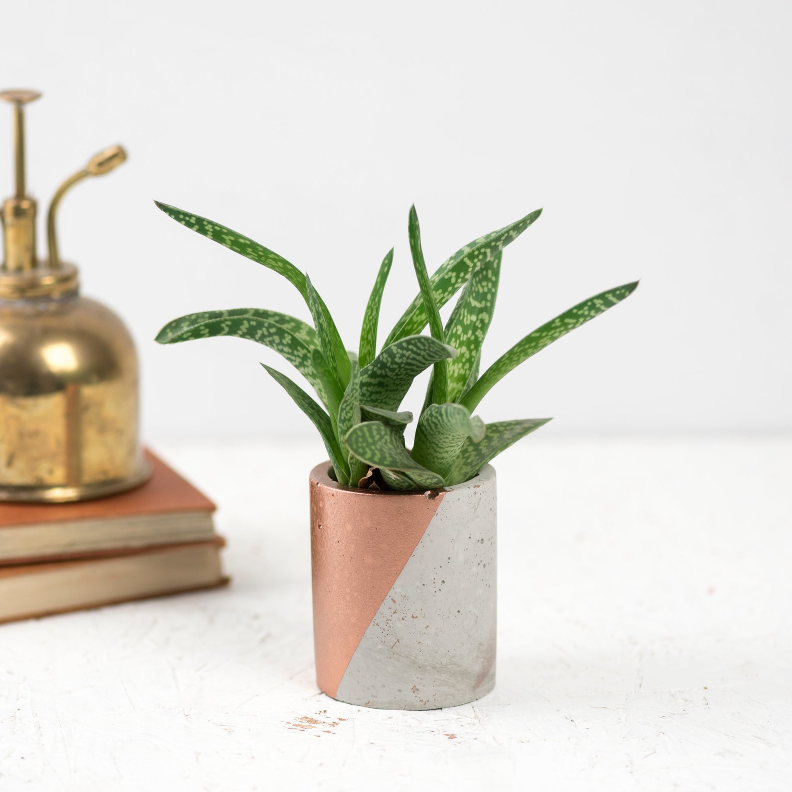 Personalised Landmark Birthday Planter Concrete Planter - Etsy