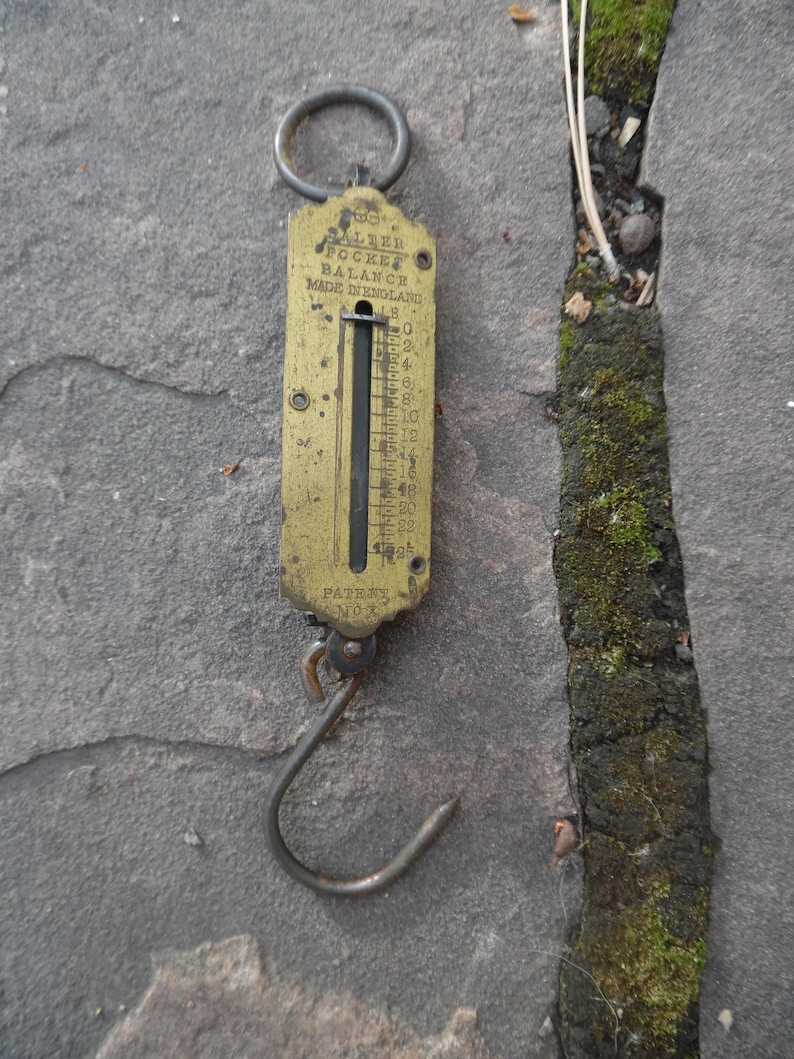 Salter Spring Balance - Etsy
