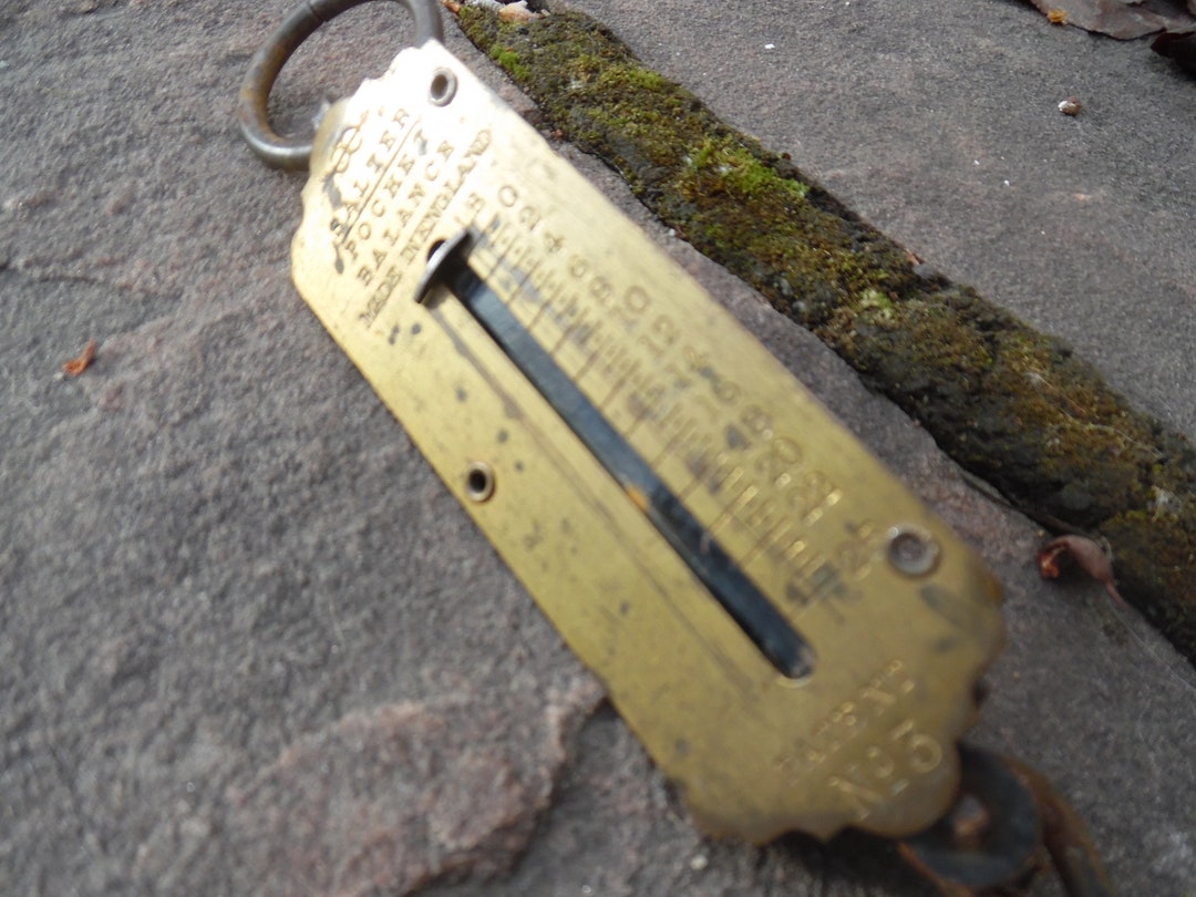 Salter Spring Balance - Etsy