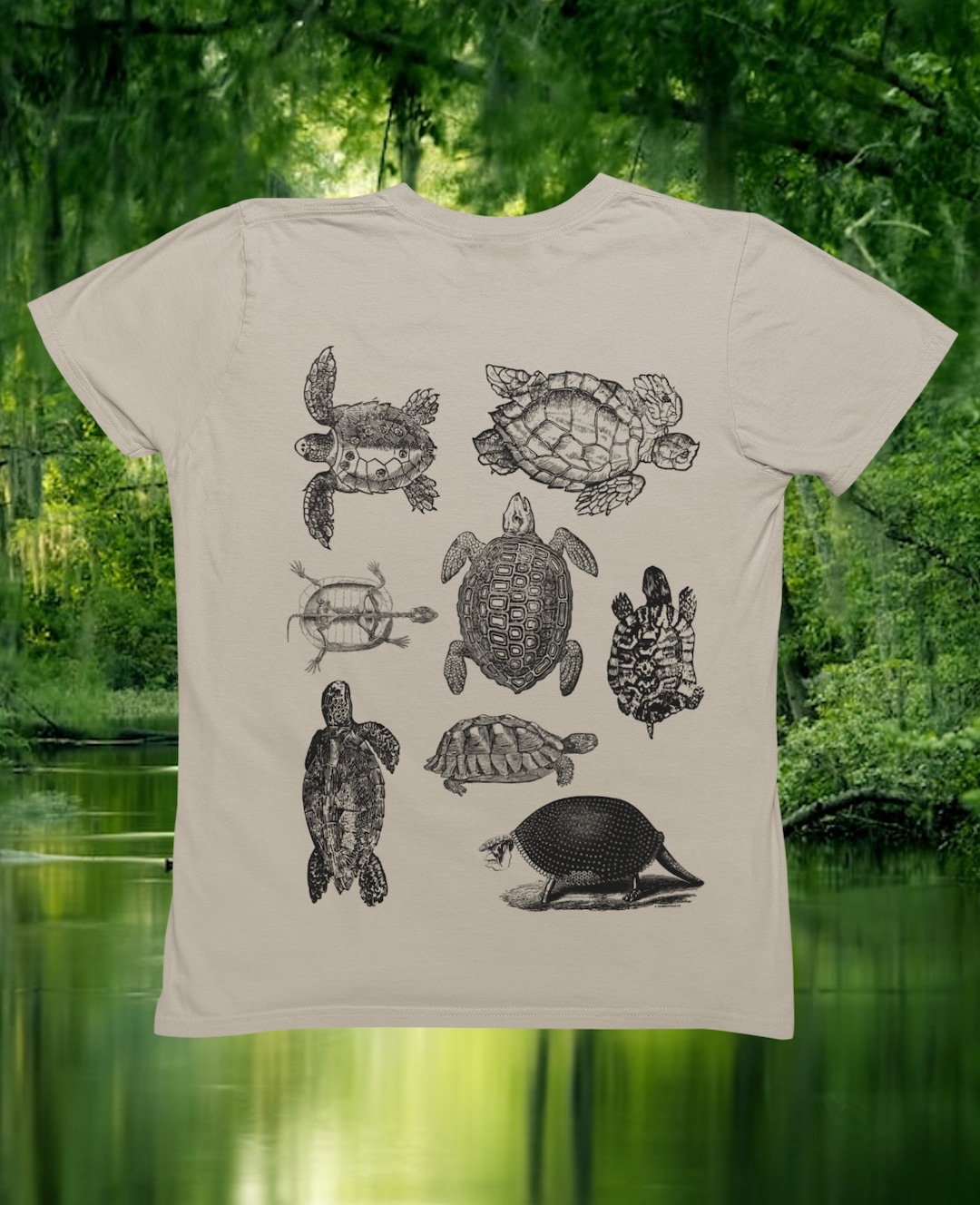 Unusual Oddities Turtles T-shirt Oddity Curios Laboratory Witchy ...