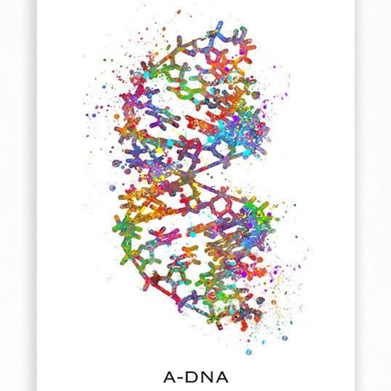 Genetics - Etsy