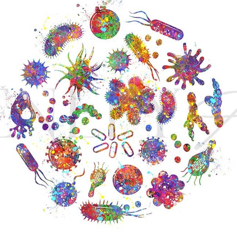 Microbiology Poster - Etsy