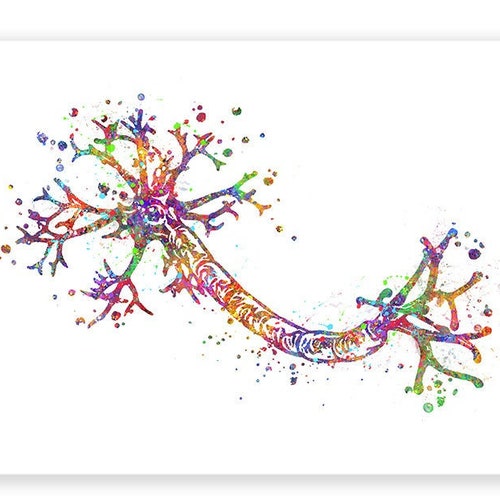 Nerve Cell Watercolor Art Print Central Nervous System - Etsy