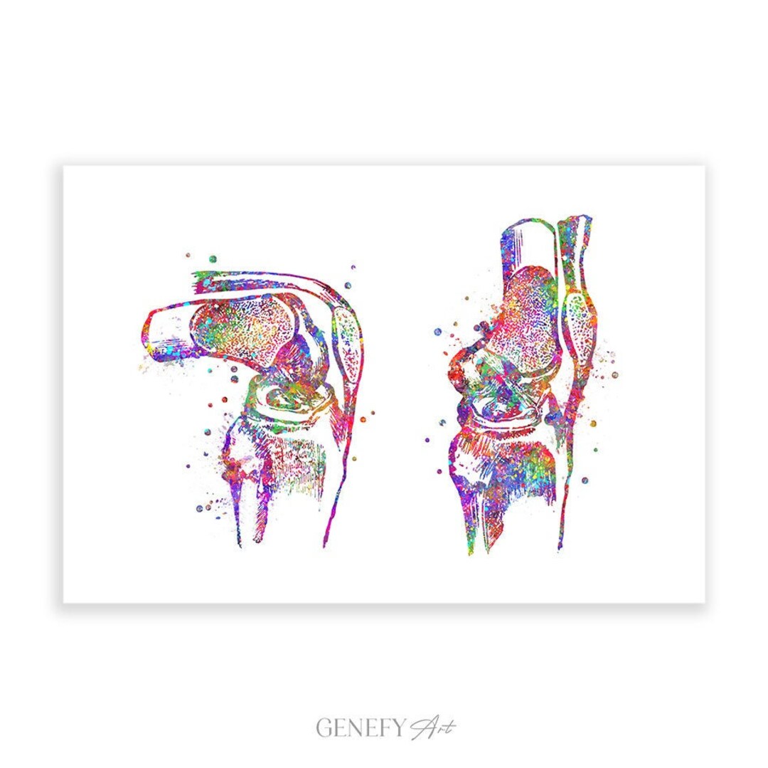 Knee Bone and Joint Anatomy Watercolour Print Knee Anatomy Art ...