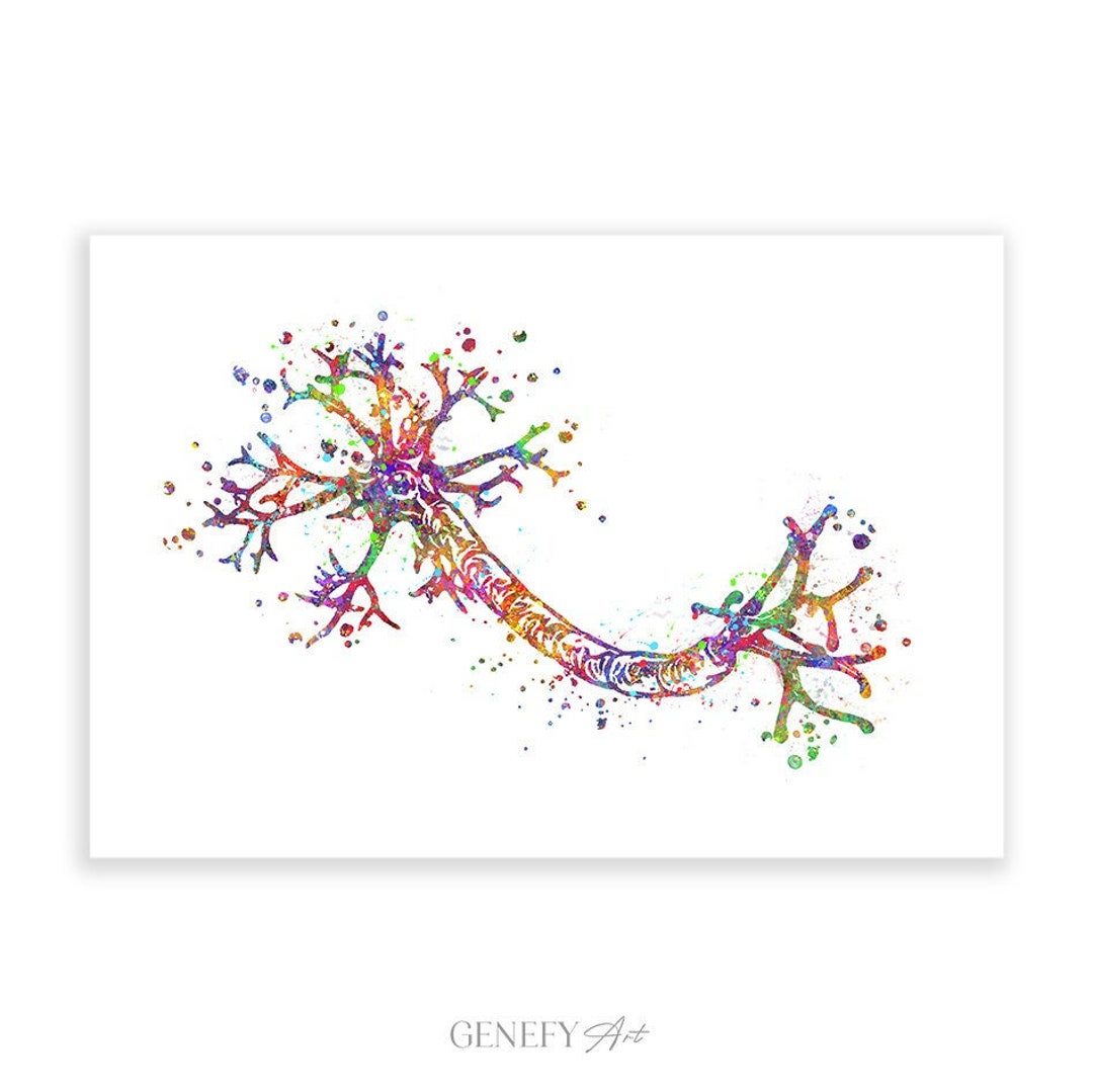Nerve Cell Watercolor Art Print Central Nervous System Abstract Art ...