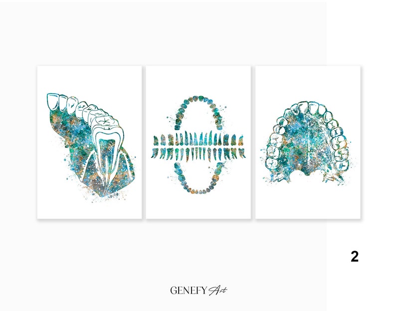 Dental Anatomy Art Prints: Colorful Teeth Diagram, Set of 3 - Etsy