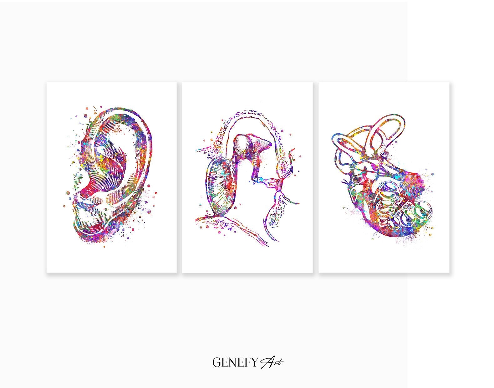 Ear Anatomy Watercolor Art Print Set of 3 Outer Mid and - Etsy
