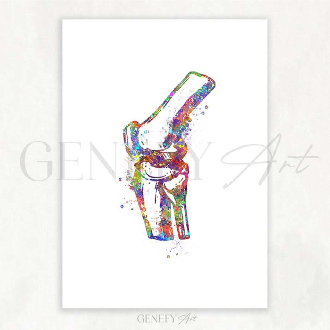 Knee Bone Anatomy Watercolour Print Knee Anatomy Poster Physiotherapy ...