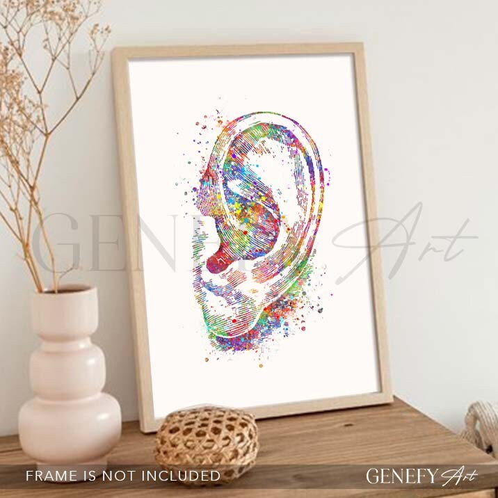 Ear Anatomy Watercolor Art Print Ear Diagram Poster - Etsy UK