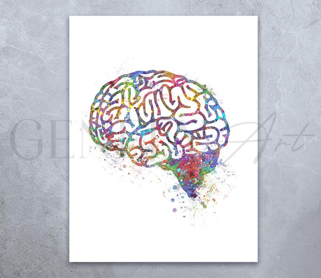 Brain Watercolor Art Print - Brain Anatomy Watercolor Print - Brain ...