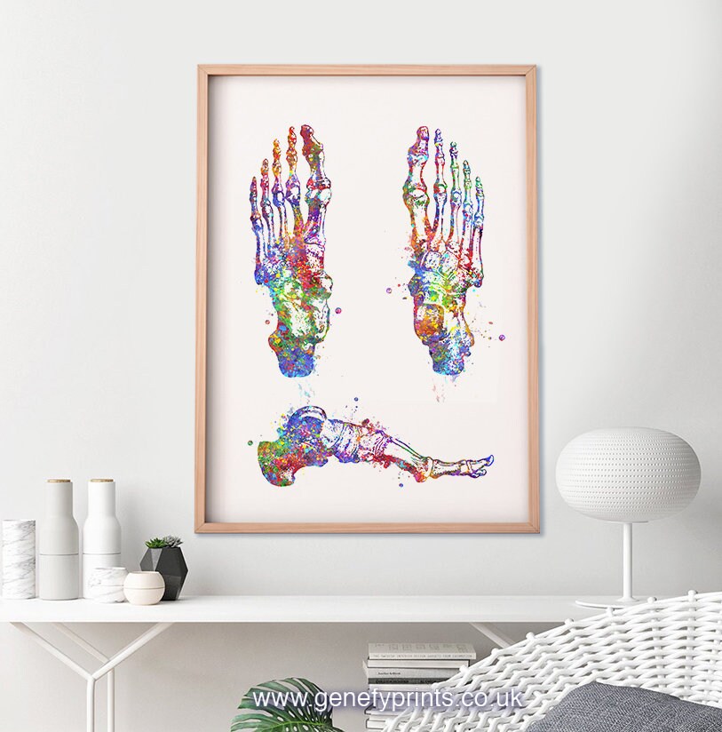 Foot Bones Watercolor Art Print Osteology Prints Osteology | Etsy