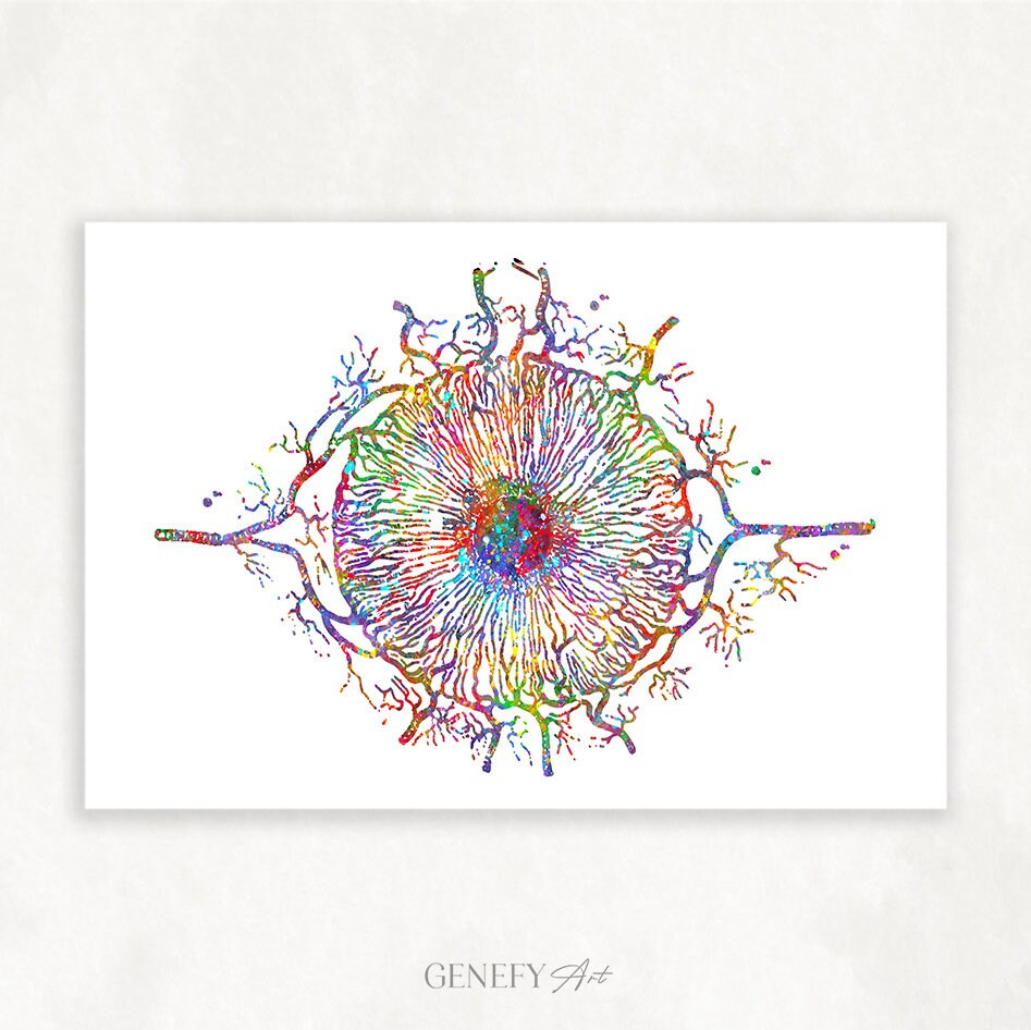 Iris Human Eye Anatomy Watercolor Art Eye Abstract Medical - Etsy UK