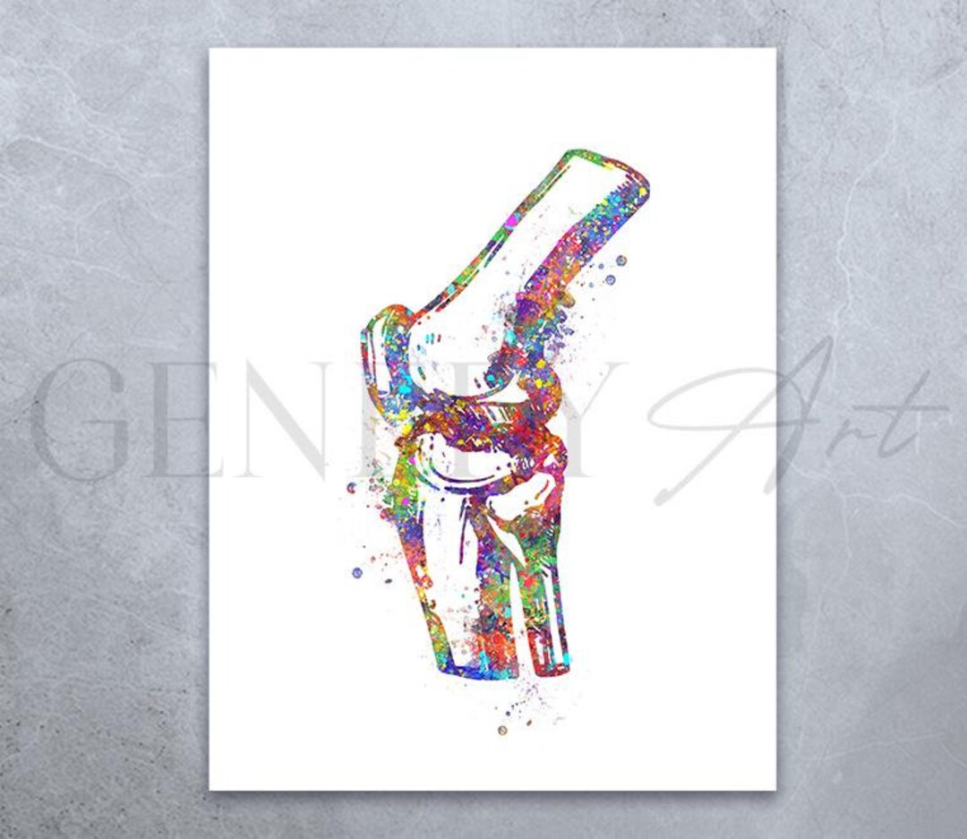 Knee Bone Anatomy Watercolour Print - Knee Anatomy Poster ...