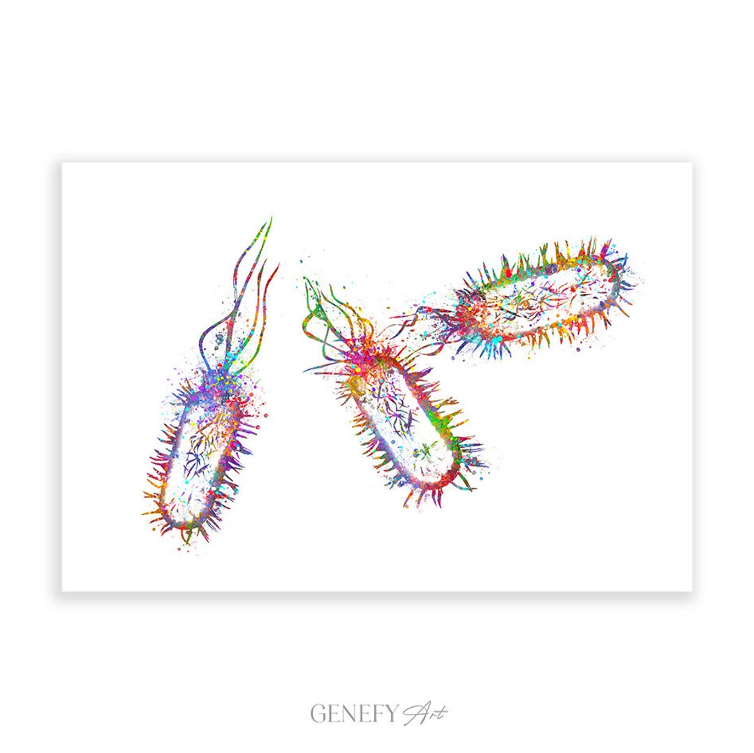 Listeria Monocytogenes Watercolour Art Print, Listeria Poster, Listeria ...