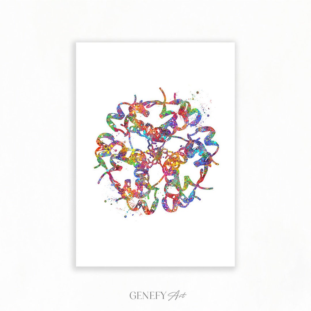 Insulin Structure Watercolor Art Print Endocrinology Diabetes Prints ...