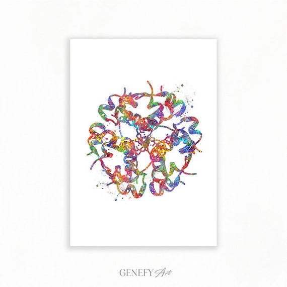 Insulin Structure Watercolor Art Print Endocrinology - Etsy