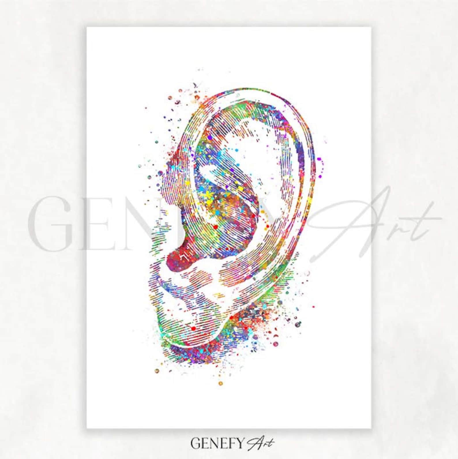 Ear Anatomy Watercolor Art Print Ear Diagram Poster - Etsy