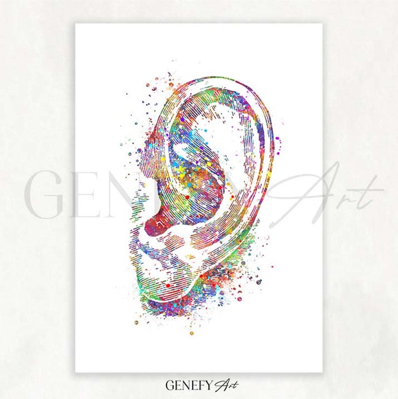 Ear Anatomy Watercolor Art Print Ear Diagram Poster - Etsy