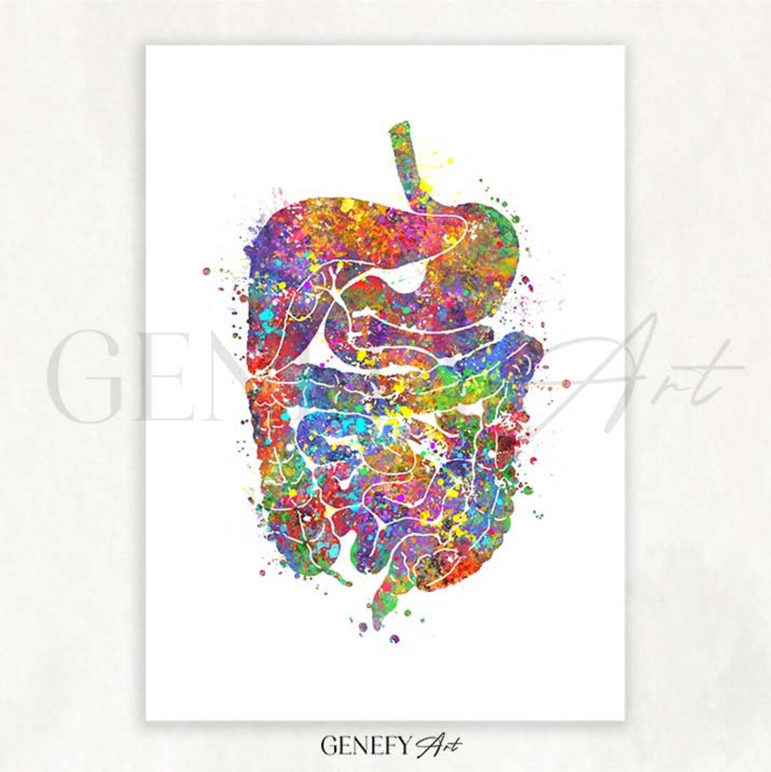 Digestive Tract Anatomy Watercolour Art Print Gastrointestinal Tract ...