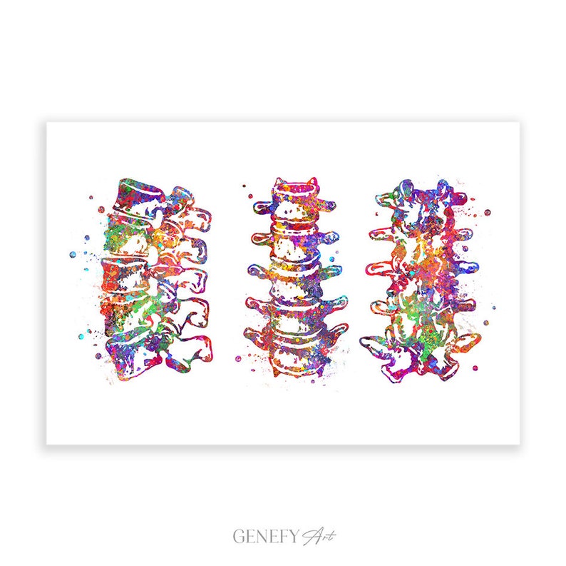Cervical Spine Watercolor Art Print: Vertebral Column Anatomy - Etsy