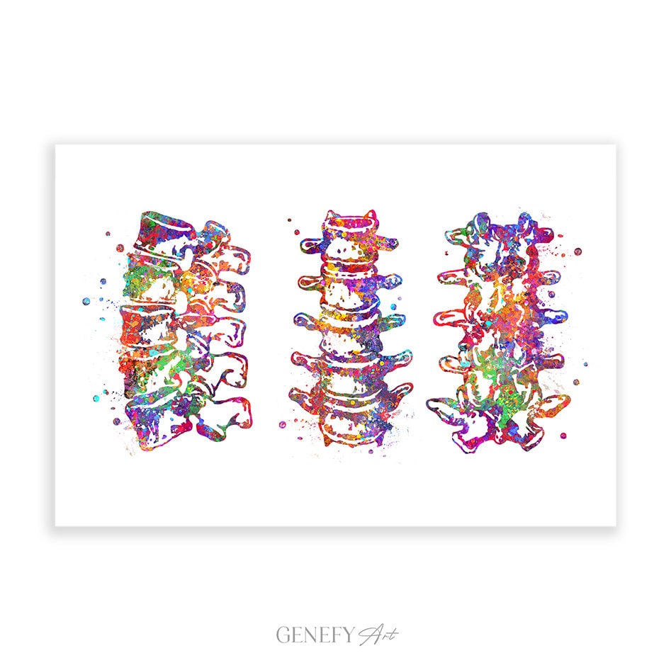Cervical Spine Watercolor Art Print Cervical Vertebrae - Etsy