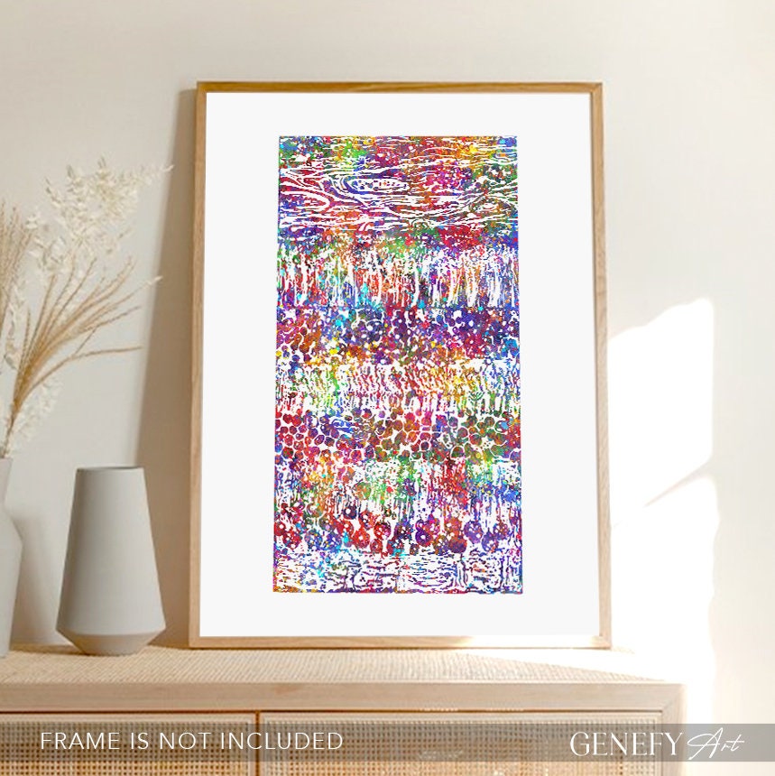 Retina Layers Watercolor Art Print: Eye Anatomy Histology Poster - Etsy
