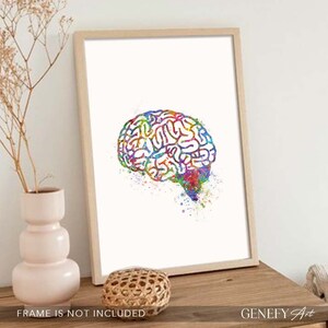 Brain Watercolor Art Print - Brain Anatomy Watercolor Print - Brain ...