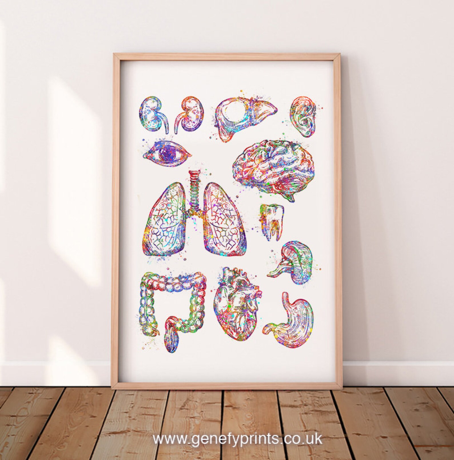 Human Organs Watercolour Art Print Human Medical Art | Etsy