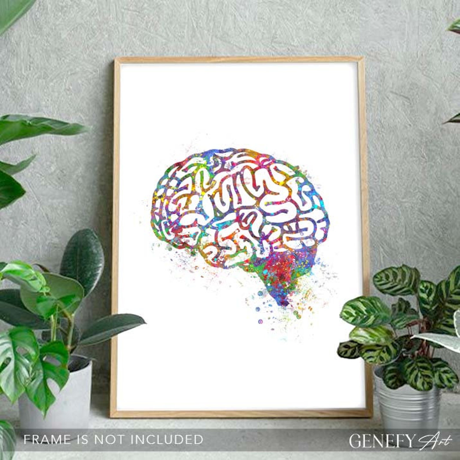 Brain Watercolor Art Print Brain Anatomy Watercolor Print - Etsy UK