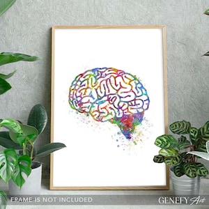 Brain Watercolor Art Print - Brain Anatomy Watercolor Print - Brain ...
