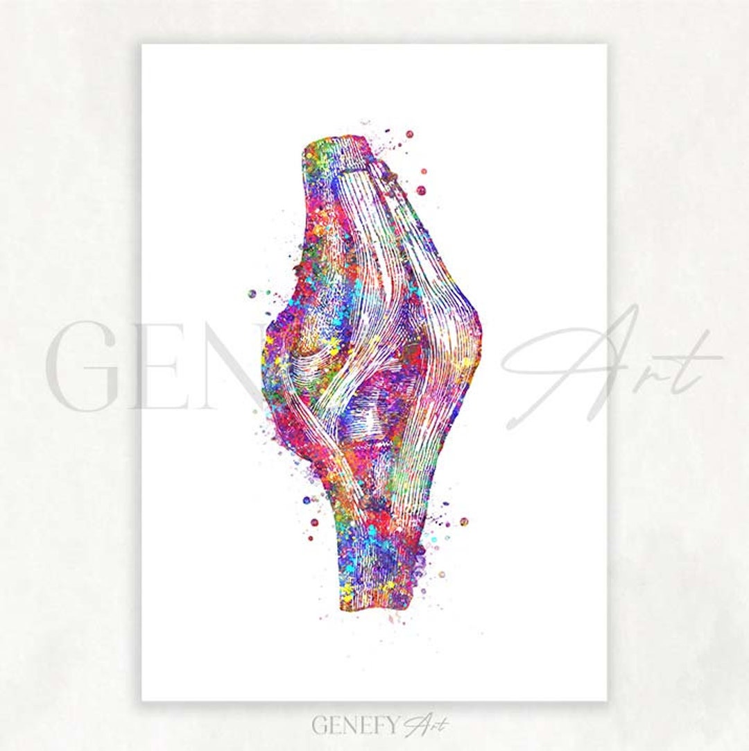 Knee Joint Anatomy Watercolour Print Knee Anatomy Poster Physiotherapy ...