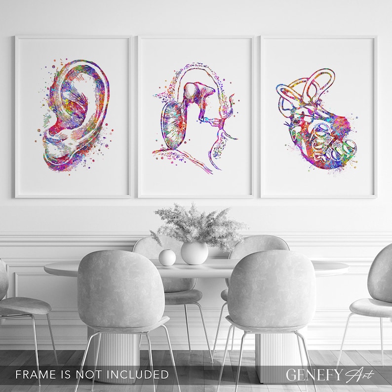 Ear Anatomy Watercolor Art Print Set of 3 Outer Mid and - Etsy