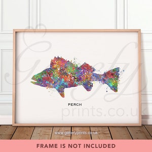 Perch Watercolour Art Print Fish Watercolour Print Fishing Print Fish ...