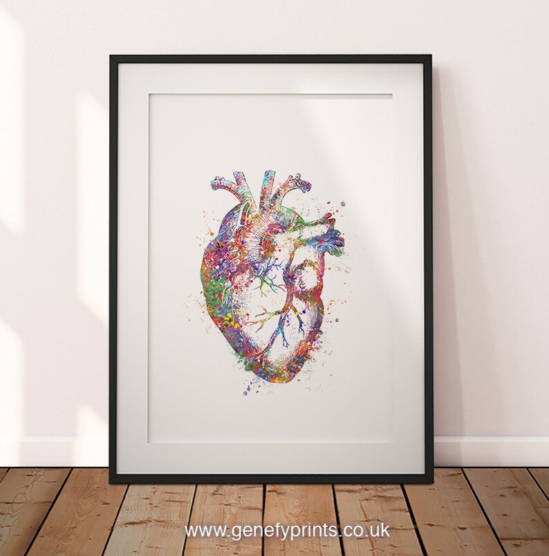 Heart Anatomy Watercolour Art Print Cardiology Art Heart | Etsy