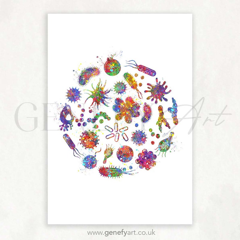 Microbiology Poster - Etsy