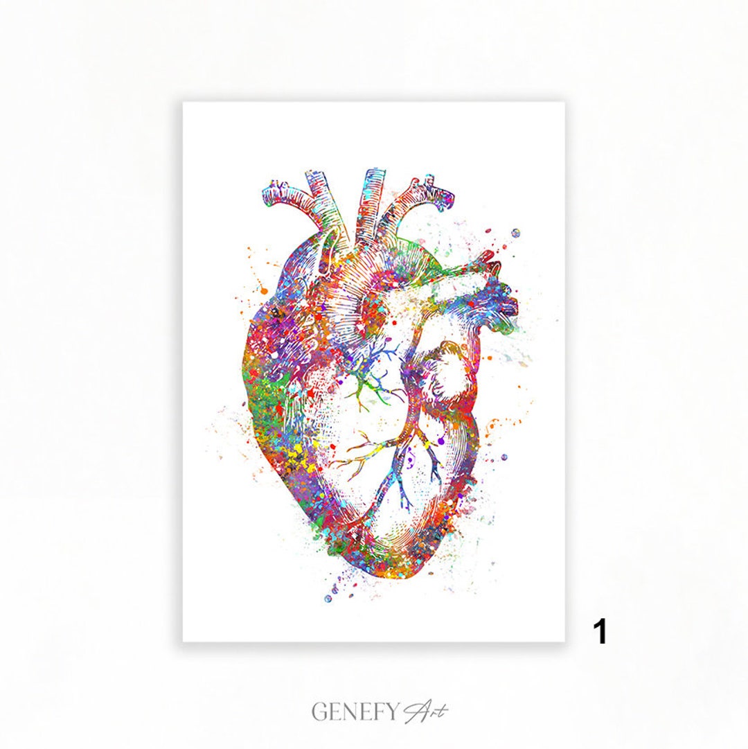 Heart Anatomy Watercolour Art Print Cardiology Art Heart Anatomy Prints ...