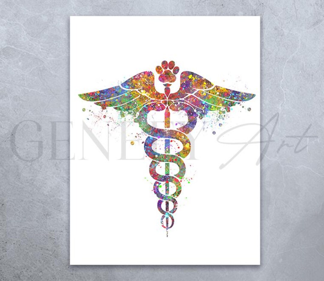 Veterinary Caduceus Watercolor Art Print: Gift for Vet - Etsy