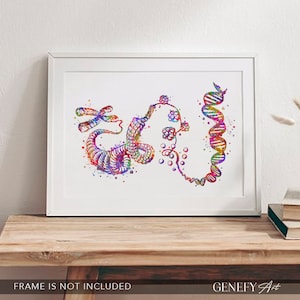 DNA Chromosome Watercolor Art Print - Chromosome Art - Medical Art ...