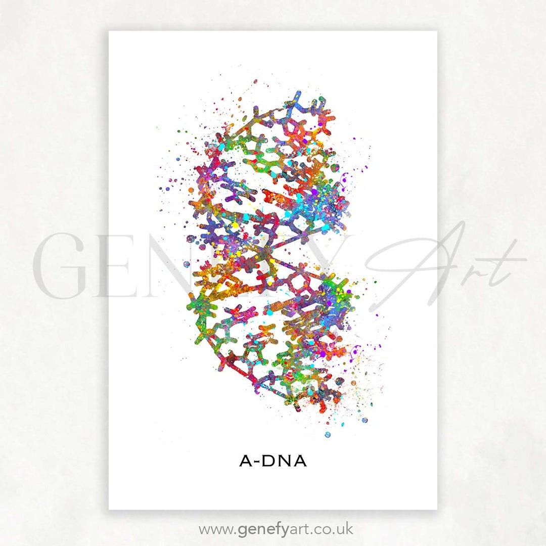 DNA Watercolor Art Print A-DNA Molecule Art Medical Art | Etsy
