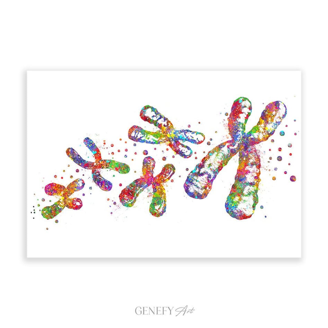 Chromosome Watercolor Art Print Chromosome Art Medical Art Poster ...