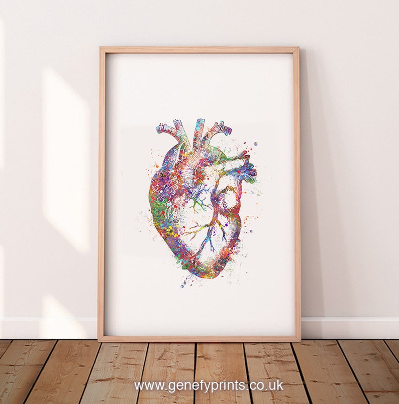 Heart Anatomy Watercolour Art Print Cardiology Art Heart | Etsy