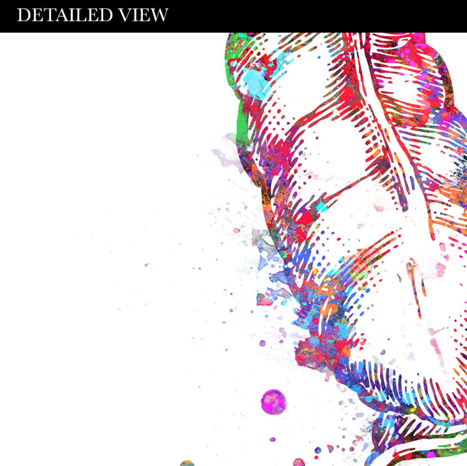 Human Stomach and Intestines Watercolour Art Print Human Digestion ...