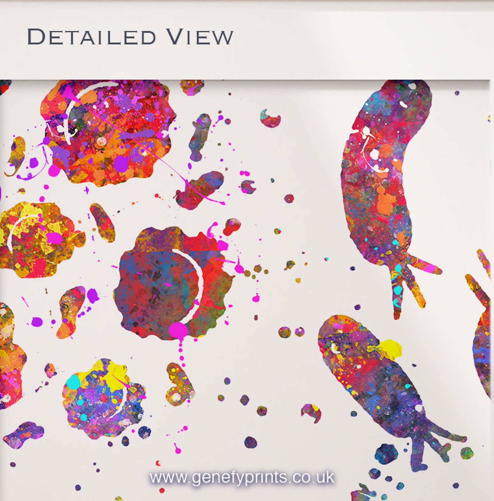 Bacteria Watercolor Art Print Microbiology Watercolor Art - Etsy UK