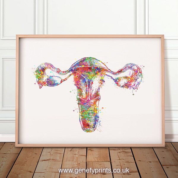 Female Anatomy - Etsy