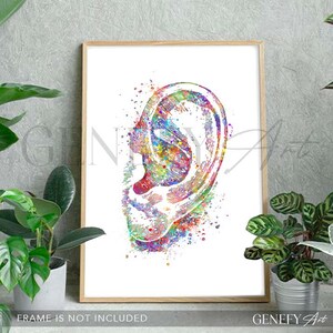 Ear Anatomy Watercolor Art Print - Ear Diagram Poster - Audiology Art ...